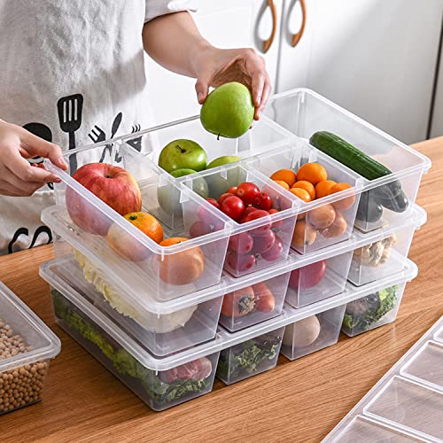 Taiuloo 2 Pack Divided Veggie Tray with Lid, 5 Compartment Snackle Box Container for Fridge, Clear Refrigerator Organizer Bins Plastic Food Storage Containers for Snack, Fruit, Vegetable, Salad, Meat