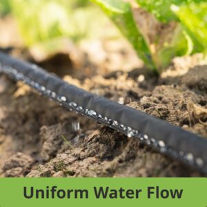 KOBAZ Flat Soaker sprinkler hose 1/2" x 50ft for Saving 70% Water, Heavy Duty Durable for garden bed vegetable