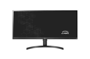 lg 34” 34cn650i-6n fhd all-in-one thin client with igel® os, quad-core intel® celeron j4105 processor, usb type-c™,black