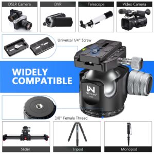 Low Profile Ball Head 55mm Tripod Ball Head WEYLLAN Heavy Duty 360 Panoramic Tripod Head, CNC Aluminium Alloy Tripod Camera Head for Tripod, with Two 1/4'' Quick Release Plates, Max Load 88.18lbs/40kg