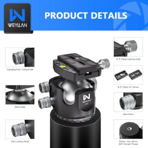 Low Profile Ball Head 55mm Tripod Ball Head WEYLLAN Heavy Duty 360 Panoramic Tripod Head, CNC Aluminium Alloy Tripod Camera Head for Tripod, with Two 1/4'' Quick Release Plates, Max Load 88.18lbs/40kg