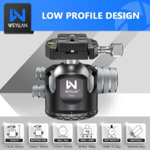 Low Profile Ball Head 55mm Tripod Ball Head WEYLLAN Heavy Duty 360 Panoramic Tripod Head, CNC Aluminium Alloy Tripod Camera Head for Tripod, with Two 1/4'' Quick Release Plates, Max Load 88.18lbs/40kg