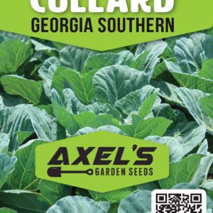 Collard Green Seeds for Planting - Plant & Grow Georgia Southern Collards - Full Planting Instructions to Plant a Home Outdoor Vegetable Garden - Great Gardening Gift, 1 Packet