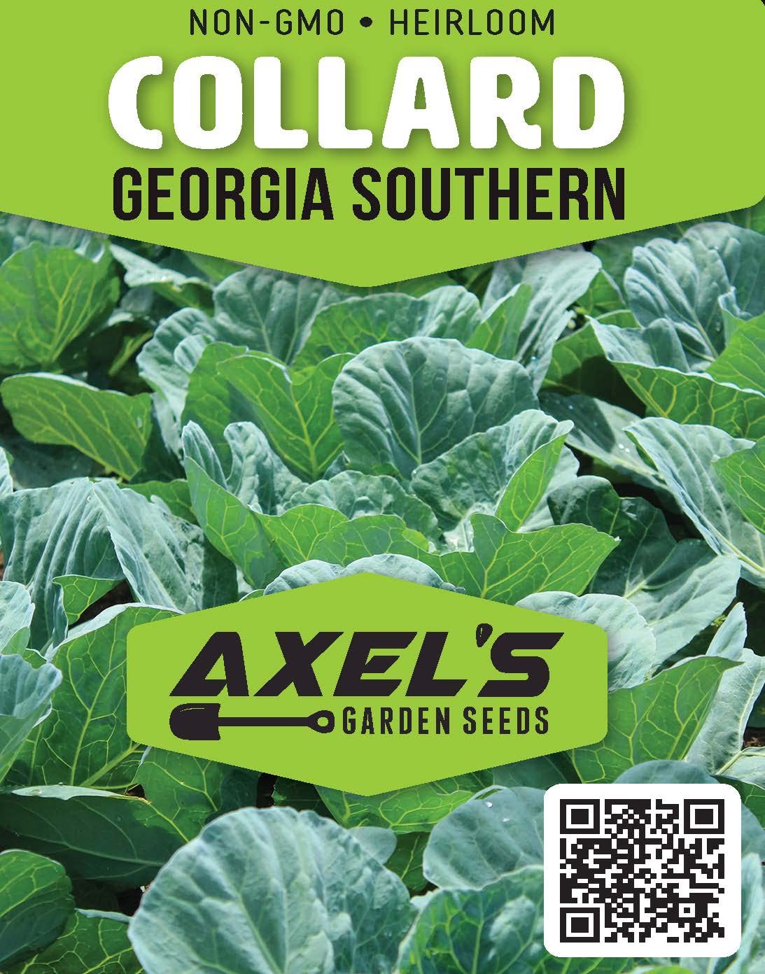 Collard Green Seeds for Planting - Plant & Grow Georgia Southern Collards - Full Planting Instructions to Plant a Home Outdoor Vegetable Garden - Great Gardening Gift, 1 Packet