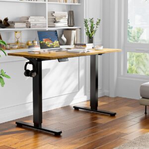 Ergear Electric Standing Desk Adjustable Height, 55 x 24 Inches Sit Stand Up Desk with 3 Memory Presets, Home Office Desk, for Home Office