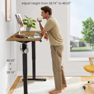 Ergear Electric Standing Desk Adjustable Height, 55 x 24 Inches Sit Stand Up Desk with 3 Memory Presets, Home Office Desk, for Home Office