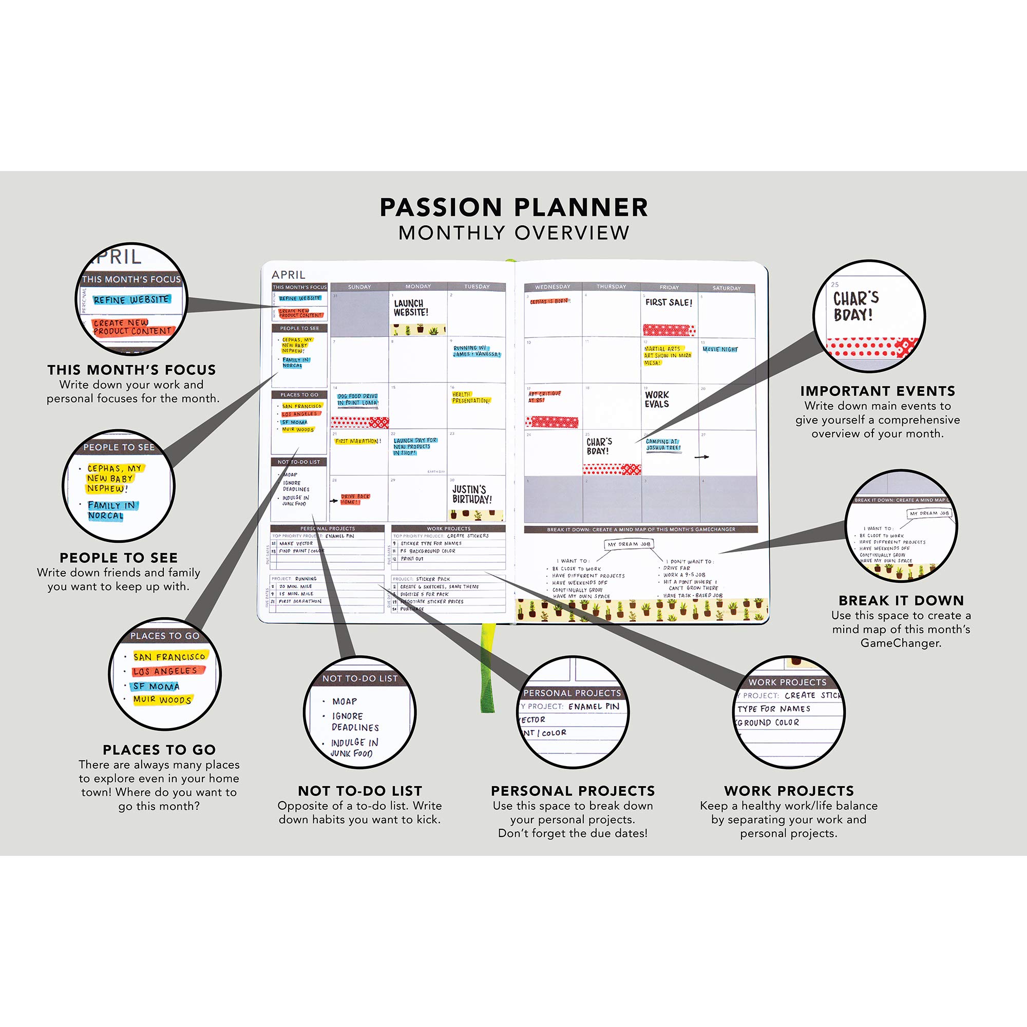 Passion Planner Weekly 2023 Annual Monday Goal-Oriented Weekly Agenda, Appointment Calendar, Reflection Journal Hardcover (Medium 6.9 x 9.8 in) (Rabbit Moonlight Rose Gold)