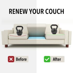 Tromlycs Couch Sofa Cushion Support for Sagging Seat Arched Furniture Seat Under Cushion Sag Repair