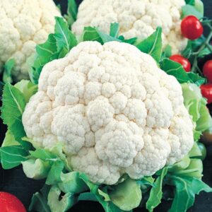 snowball cauliflower seeds for planting - non-gmo heirloom packet with instructions to plant & grow a home outdoor vegetable garden (200 seeds) – great gardening gift, 1 packet