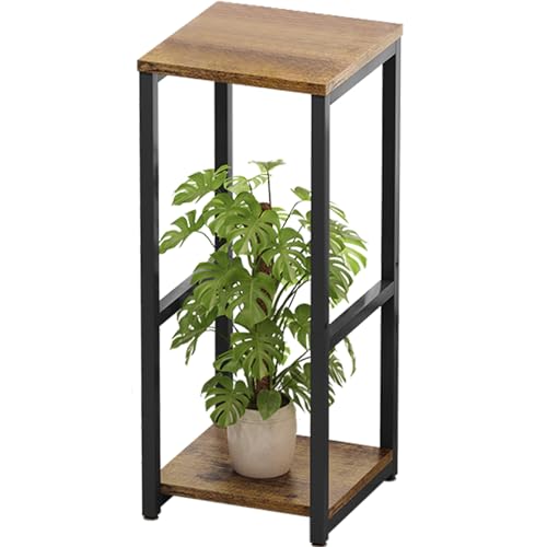 YIZAIJIA Plant Stand Indoor Corner Tall 2 Tier Metal Modern Flower Storage Plant Shelf Holder for Living Room Balcony Garden,Black (2 Tier-Black)