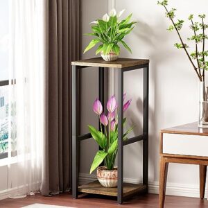 YIZAIJIA Plant Stand Indoor Corner Tall 2 Tier Metal Modern Flower Storage Plant Shelf Holder for Living Room Balcony Garden,Black (2 Tier-Black)