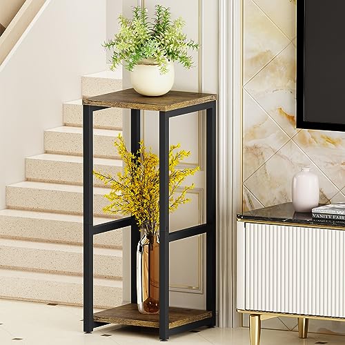 YIZAIJIA Plant Stand Indoor Corner Tall 2 Tier Metal Modern Flower Storage Plant Shelf Holder for Living Room Balcony Garden,Black (2 Tier-Black)