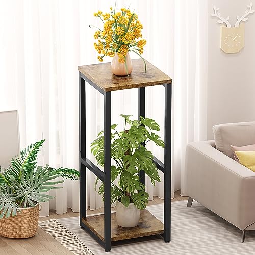 YIZAIJIA Plant Stand Indoor Corner Tall 2 Tier Metal Modern Flower Storage Plant Shelf Holder for Living Room Balcony Garden,Black (2 Tier-Black)