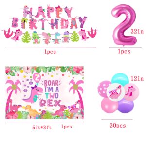 Two Rex Birthday Party Decorations Girl, Pink Dinosaur 2nd Birthday Party Supplies, 2nd Birthday Party Supplies Girl,Pink Dinosaur Birthday Party Supplies