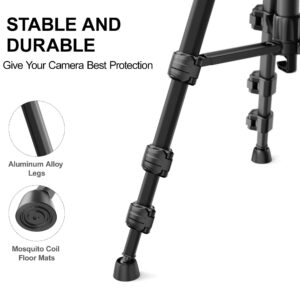 RALENO 60-Inch Tripod for Camera, Photography Video Tripod with Holder & Bag, Compact Lightweight Tripod for iPhone