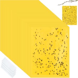 100 pcs double sided sticky traps for flying plant insect like white flies aphids 6 x 8 inch sticky gnat traps killer fruit fly traps for indoor outdoor including twist ties, yellow