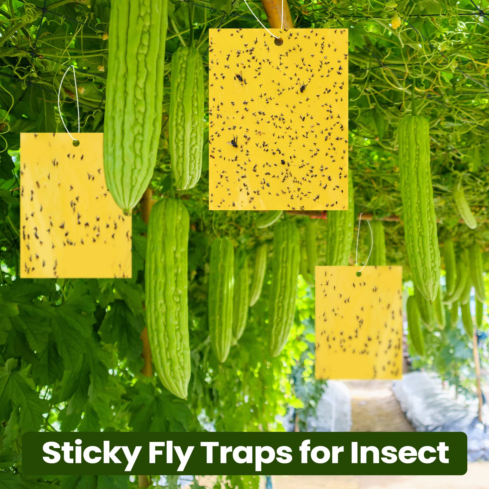 100 Pcs Double Sided Sticky Traps for Flying Plant Insect Like White Flies Aphids 6 x 8 Inch Sticky Gnat Traps Killer Fruit Fly Traps for Indoor Outdoor Including Twist Ties, Yellow