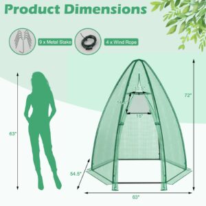 Safstar Portable Mini Greenhouse, Garden Greenhouse W/ All-Weather PE Cover, Roll-up Door, Mesh Window, Outdoor Plant Greenhouse for Cold & Frost Protection, Garden Tent for Pot Plant, 63" x 63" x 72"