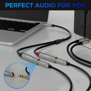 Togconn 3.5mm TRS to Dual 6.35mm Stereo Y Splitter. 1/8 inch Male to 2X 1/4 inch Mono Female Audio Gold Plated Joint Cable (10 Inch/25CM)