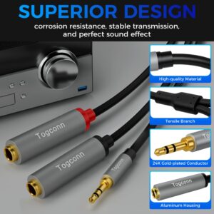 Togconn 3.5mm TRS to Dual 6.35mm Stereo Y Splitter. 1/8 inch Male to 2X 1/4 inch Mono Female Audio Gold Plated Joint Cable (10 Inch/25CM)