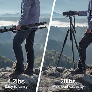 RALENO® 78'' Camera Tripod with 360° Ball Head - Versatile, Sturdy, and Compact Metal Tripod for Professional Photography (20lbs Load, Includes Bag&Disassembly Tools)