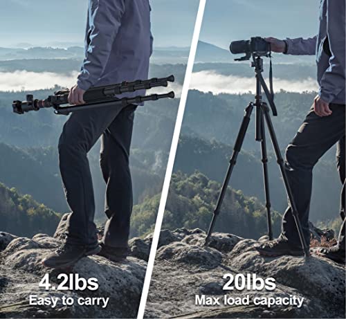 RALENO® 78'' Camera Tripod with 360° Ball Head - Versatile, Sturdy, and Compact Metal Tripod for Professional Photography (20lbs Load, Includes Bag&Disassembly Tools)