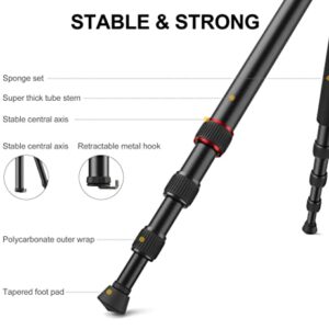 RALENO® 78'' Camera Tripod with 360° Ball Head - Versatile, Sturdy, and Compact Metal Tripod for Professional Photography (20lbs Load, Includes Bag&Disassembly Tools)