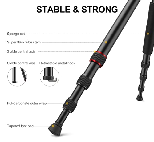 RALENO® 78'' Camera Tripod with 360° Ball Head - Versatile, Sturdy, and Compact Metal Tripod for Professional Photography (20lbs Load, Includes Bag&Disassembly Tools)