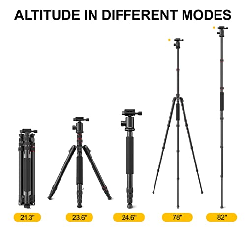 RALENO® 78'' Camera Tripod with 360° Ball Head - Versatile, Sturdy, and Compact Metal Tripod for Professional Photography (20lbs Load, Includes Bag&Disassembly Tools)