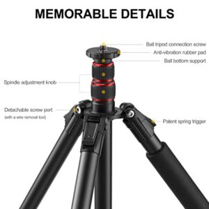 RALENO® 78'' Camera Tripod with 360° Ball Head - Versatile, Sturdy, and Compact Metal Tripod for Professional Photography (20lbs Load, Includes Bag&Disassembly Tools)