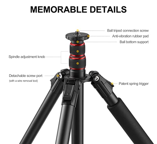 RALENO® 78'' Camera Tripod with 360° Ball Head - Versatile, Sturdy, and Compact Metal Tripod for Professional Photography (20lbs Load, Includes Bag&Disassembly Tools)