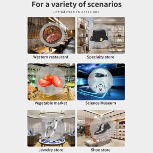 3D Holographic Fan, 30cm Naked Eye Hologram Fan LED Fan Advertising Display Projector 3D Holographic Projector LED Air Fan Projector, WiFi Module, APP Operation