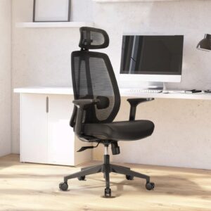 Ergonomic Mesh Office Chair, High Back Big and Tall Desk Chair with Adjustable Lumbar Support and Headrest, Tilt Function Swivel Rolling Computer Chair with 2D Armrest and PU Wheels