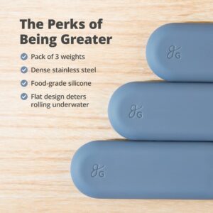 Greater Goods Sous Vide Weights with Silicone Shell and Stainless Steel Center, The Perfect Accessories for Completing a Sous Vide Set, Designed in St. Louis, Pack of 3 (Stone Blue)