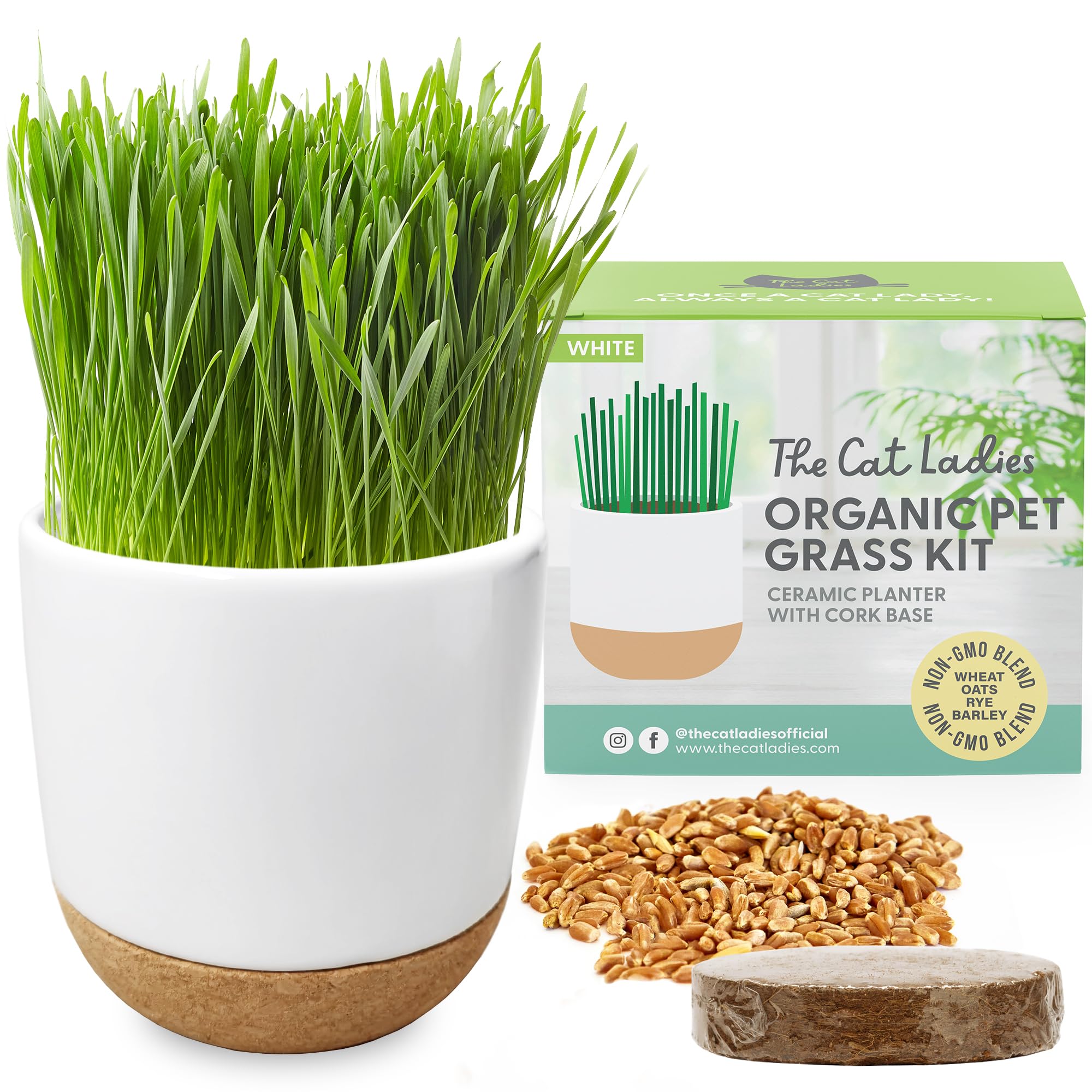 The Cat Ladies Cat Grass for Indoor Cats Kit with Organic Cat Grass Seed Mix, Soil and Ceramic & Cork Planter, Natural Hairball Remedy