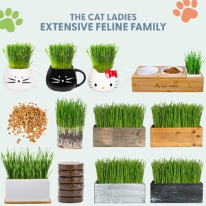 The Cat Ladies Cat Grass for Indoor Cats Kit with Organic Cat Grass Seed Mix, Soil and Ceramic & Cork Planter, Natural Hairball Remedy