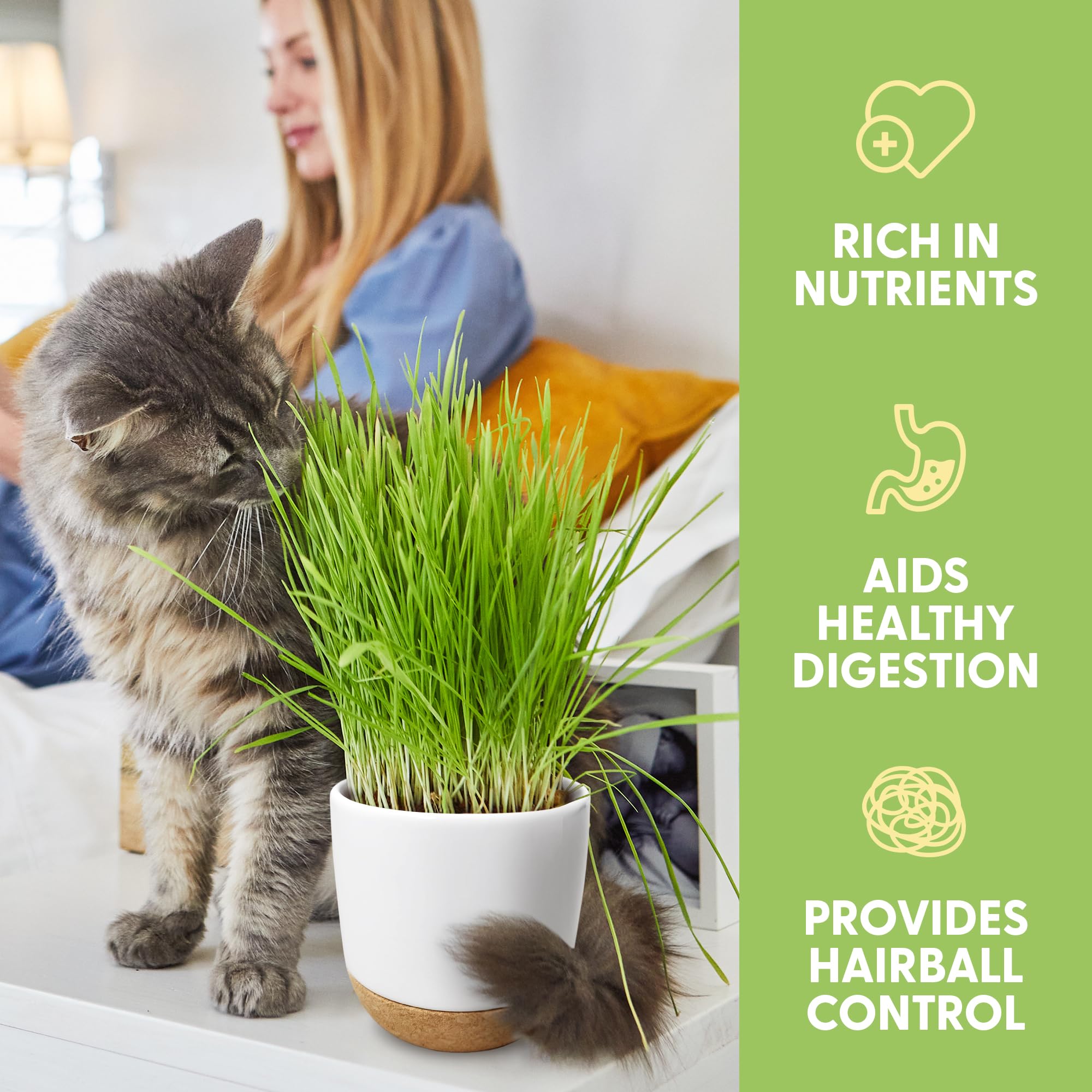 The Cat Ladies Cat Grass for Indoor Cats Kit with Organic Cat Grass Seed Mix, Soil and Ceramic & Cork Planter, Natural Hairball Remedy