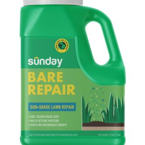 Sunday Bare Repair Sun and Shade Grass Seed Spot Treatment - Grass Seed for Shade and Hard to Grow Areas - Lawn Patch Repair That Works in 14 Days or Less - 3.75lb Jug (Covers 55 Sq Ft)