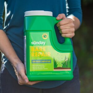 Sunday Bare Repair Sun and Shade Grass Seed Spot Treatment - Grass Seed for Shade and Hard to Grow Areas - Lawn Patch Repair That Works in 14 Days or Less - 3.75lb Jug (Covers 55 Sq Ft)