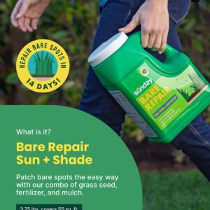 Sunday Bare Repair Sun and Shade Grass Seed Spot Treatment - Grass Seed for Shade and Hard to Grow Areas - Lawn Patch Repair That Works in 14 Days or Less - 3.75lb Jug (Covers 55 Sq Ft)