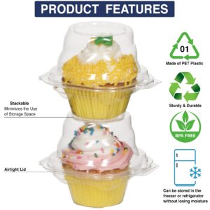 MUSENTIAL 50-Pack Individual Cupcake Containers, Stackable Single Compartment Disposable Carrier Holder Box with Airtight Dome Lid, BPA Free (50 Count)