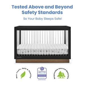 Delta Children James Acrylic 4-in-1 Convertible Crib - Greenguard Gold Certified, Midnight Grey/Acorn