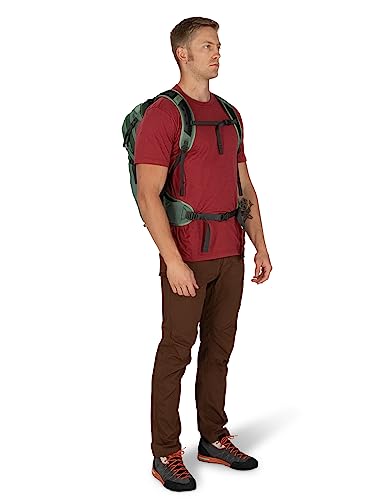 Osprey Sportlite 25L Unisex Hiking Backpack, Pine Leaf Green, M/L, Extended Fit