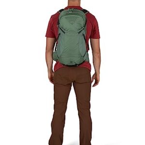 Osprey Sportlite 25L Unisex Hiking Backpack, Pine Leaf Green, M/L, Extended Fit