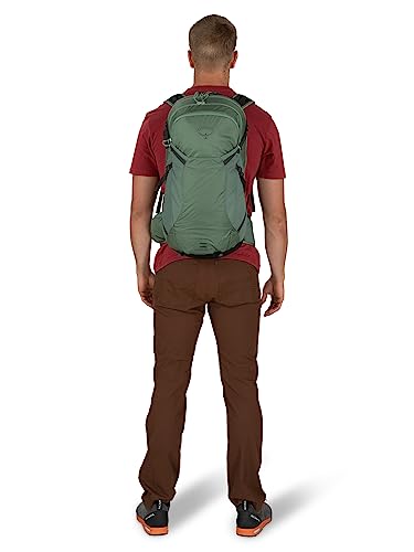 Osprey Sportlite 25L Unisex Hiking Backpack, Pine Leaf Green, M/L, Extended Fit