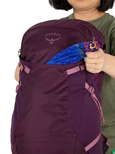 Osprey Sportlite 25L Unisex Hiking Backpack, Pine Leaf Green, M/L, Extended Fit