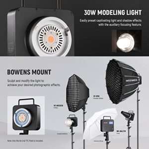 NEEWER Q4 400Ws 2.4G TTL Outdoor Studio Flash Strobe (New Look),1/8000 HSS 2800mAh Battery Powered Photography Monolight Speedlite 30W Modeling Lamp/400 Full Power Flash/0.01-1.2s Recycle/Bowens Mount