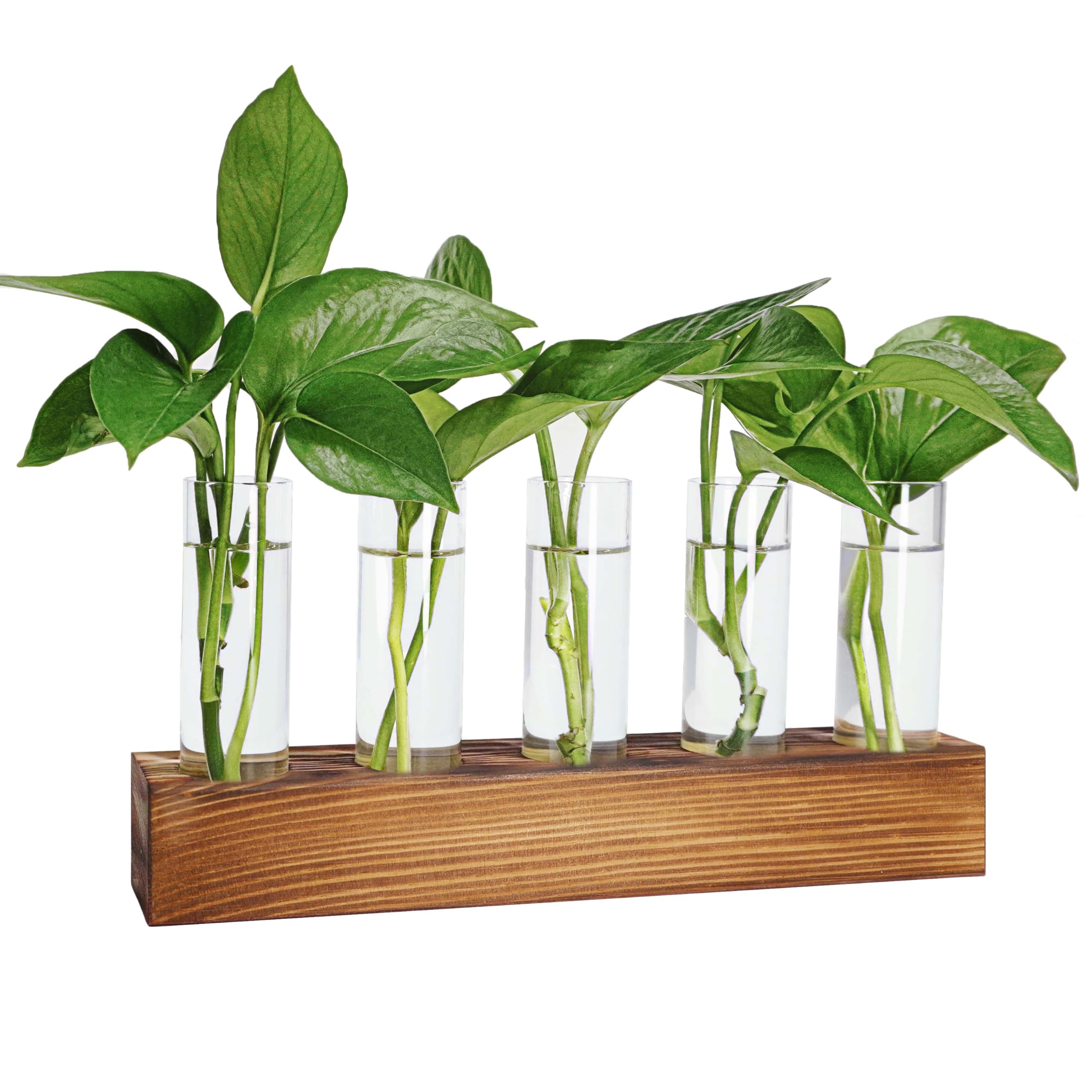 RENMXJ Plant Propagation Station, Plant Terrarium with Wooden Stand for Hydroponics Plants Office Decor Unique Gardening for Women Plant Lovers - 5 Glass Test Tube Vases