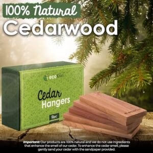 ecoKiwi Cedar Blocks for Clothes Storage - 10 Pack Hanging Cedar Planks - Natural Cedar Chips for Closets and Drawers - Cedar Wood Hangers with Sandpaper - Cedarwood Scent Freshener Protection Control