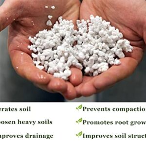 O-FarFarm Chunky Perlite Bulk, Horticultural Pearlite Coarse Perlite for Plants Indoor, Additive Conditioner Mix, Improve Drainage and Ventilation, Help Root Growth(5-10mm, 1qt)